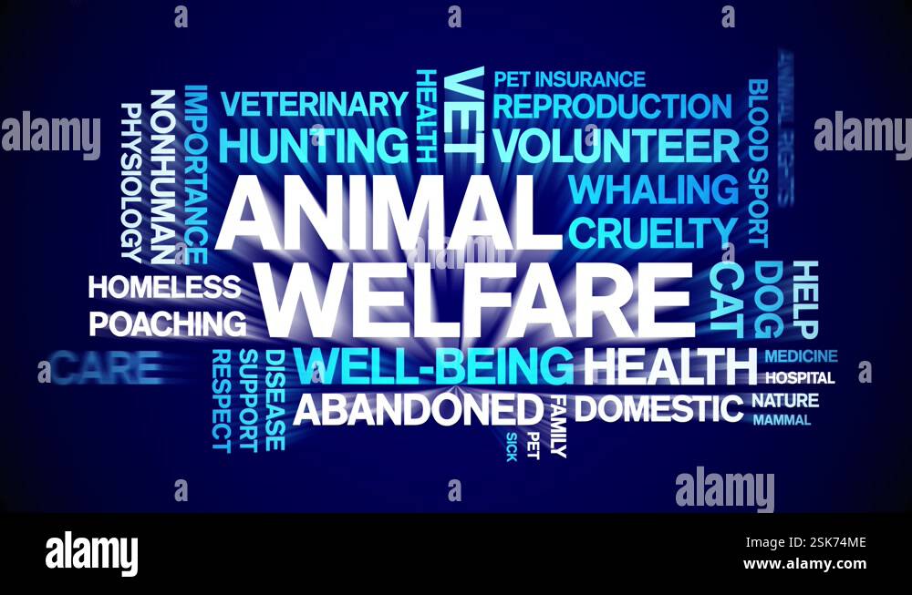 Animal Welfare animated word cloud,animation kinetic typography ...