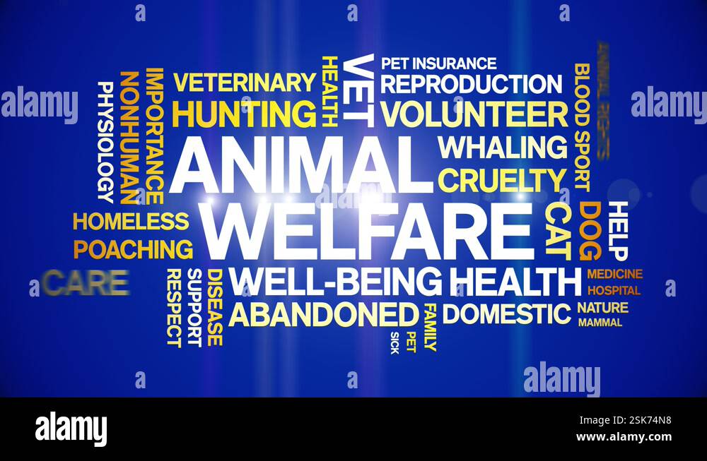 Animal Welfare animated word cloud,animation kinetic typography ...