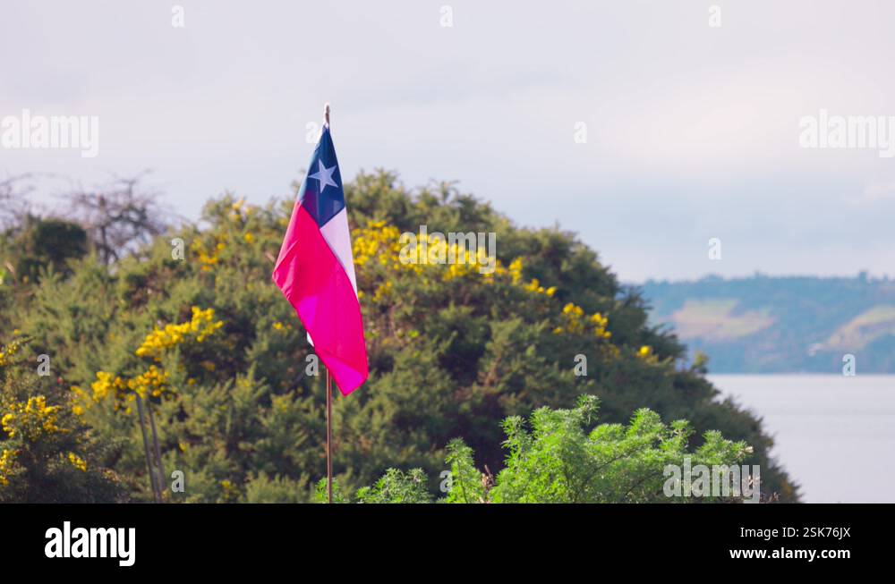Patriotic chilean flag waving in the coast of Castro south of Chile ...