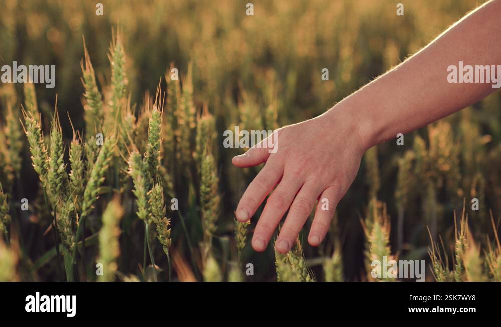 Art Farming Exploring Connection Between Man Nature. delve into deep ...