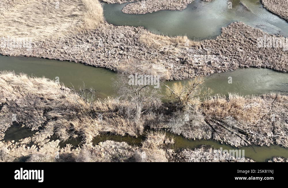 water meadow stream flowing along a channel with brown plants Stock ...