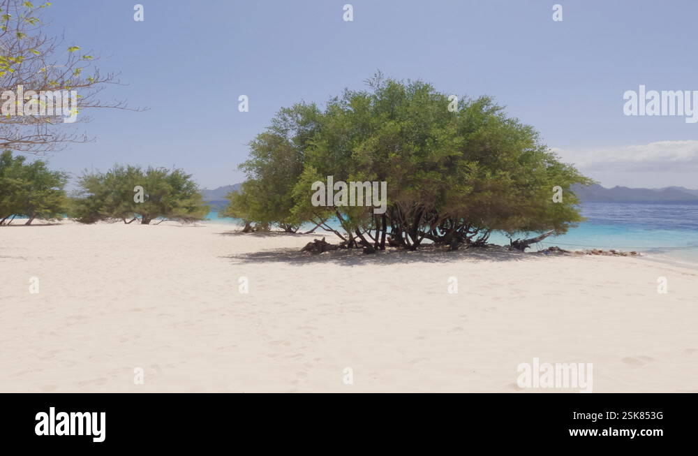 Pristine remote summer beach in the Philippines Stock Video Footage - Alamy