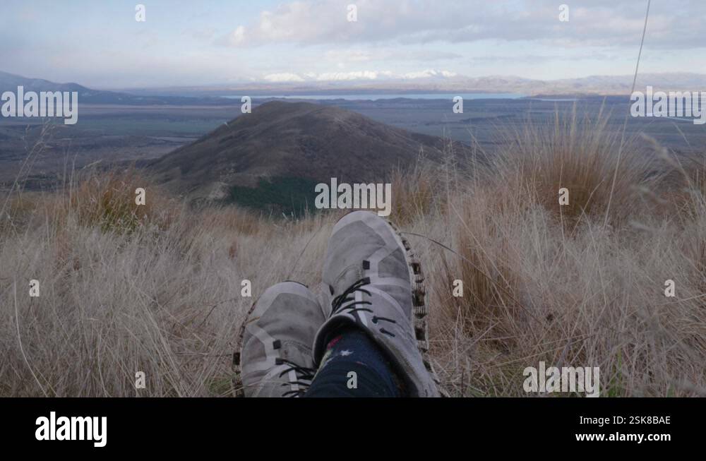 POV; sitting within tussock grass above dry, rugged New Zealand ...
