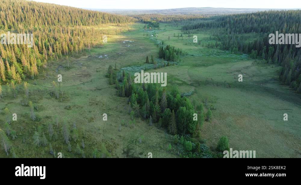 Movement over a wet meadow in a valley in Riisitunturi National Park ...