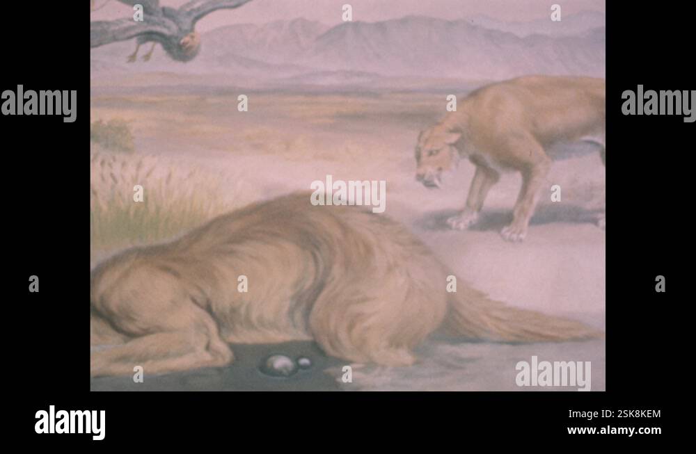 1960s: A painting of a wildcat eyeing a dead beast in shallow water. A ...