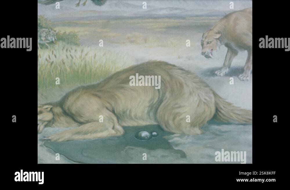 1960s: A painting of a wildcat eyeing a dead beast in shallow water ...