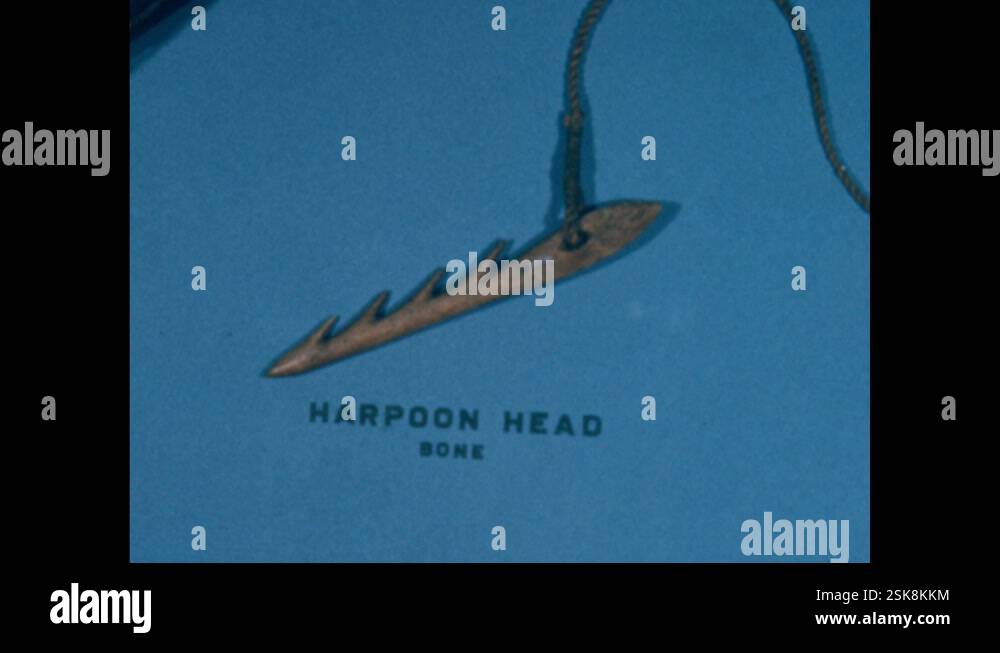 Bone harpoon Stock Videos & Footage - HD and 4K Video Clips - Alamy