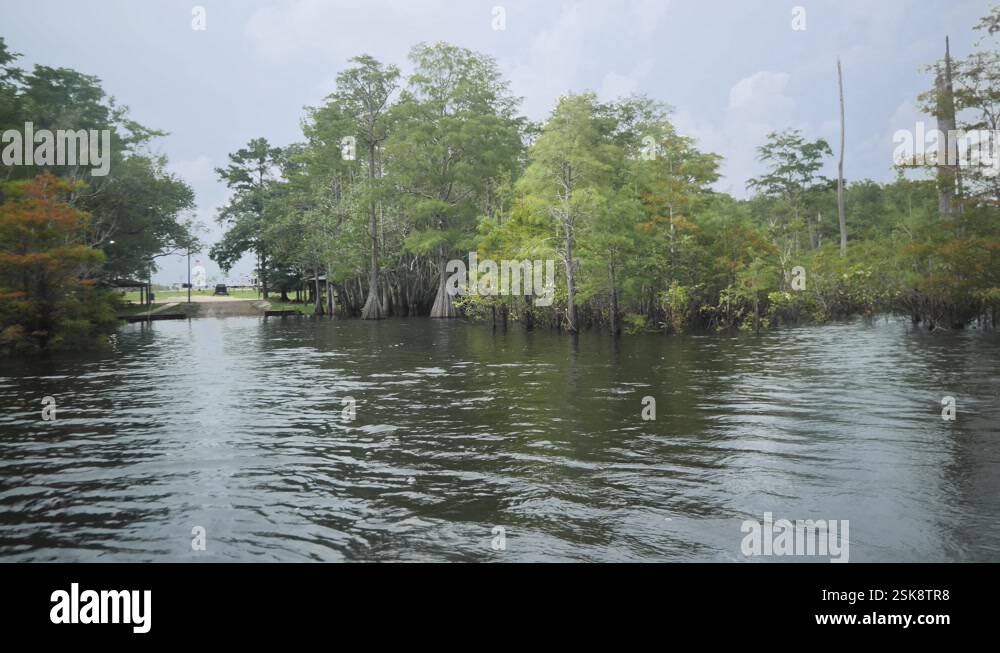 Panning shot around a boat ramp in Dead Lakes in Florida Stock Video ...