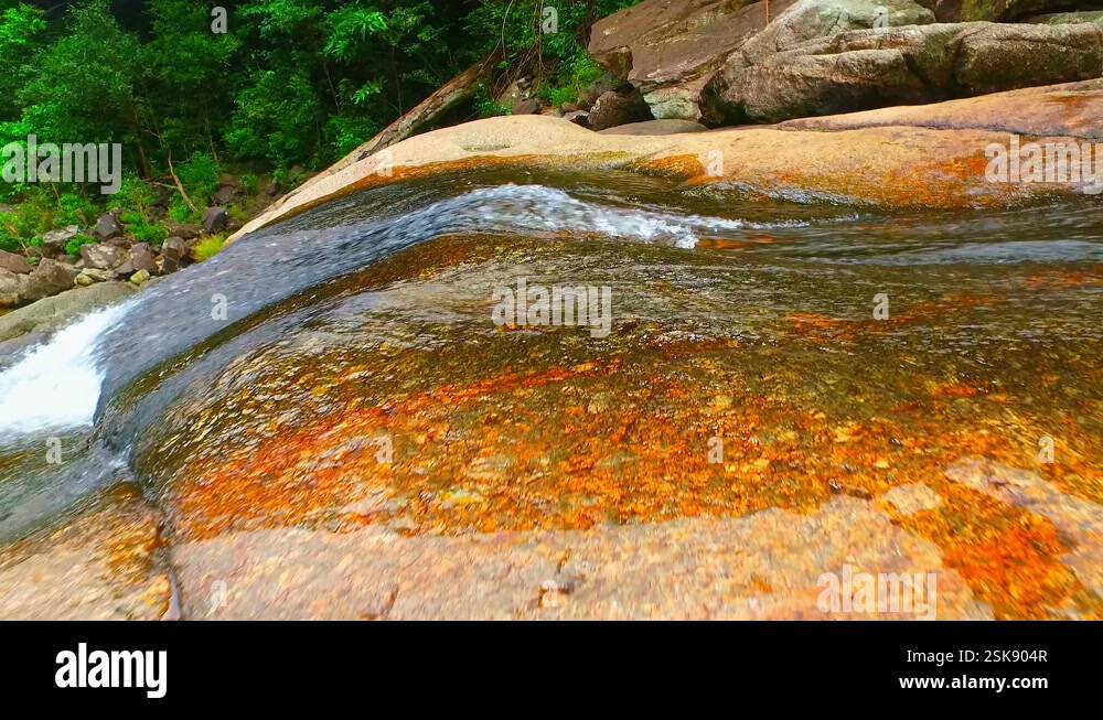 Tropical Forest With Telaga Tujuh Waterfall In Langkawi, Kedah ...