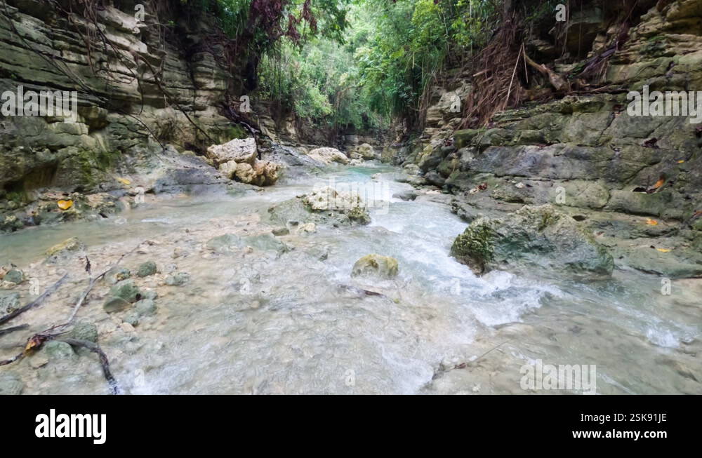 Cinematic footage of a river in the tropical rainforest in the Stock ...