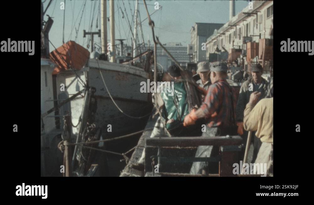 Dock worker Stock Videos & Footage - HD and 4K Video Clips - Alamy