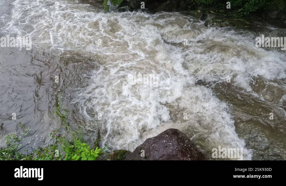 Fast Flowing Water Stream in Creek During Rain - panning Stock Video ...