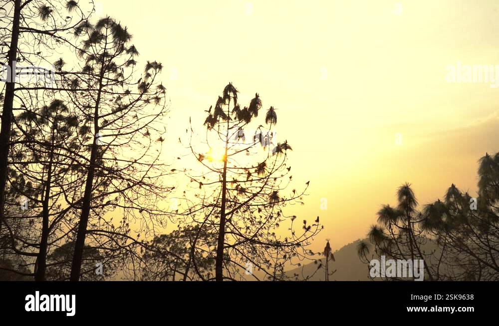 Scenic landscape of Kasauli, Gilbert trail also known as sunset point ...