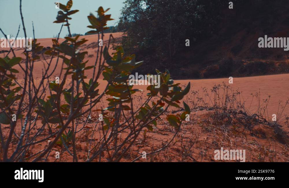 Dry desert climate Stock Videos & Footage - HD and 4K Video Clips - Alamy