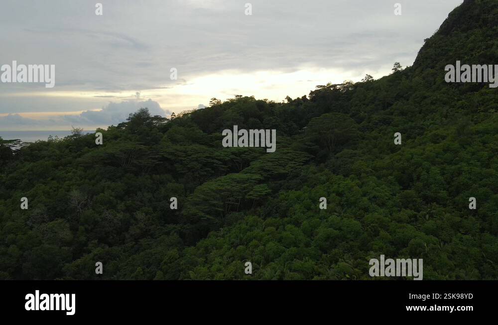 Seychelles nature filmed on a drone in 4k. Filmed on the main island ...