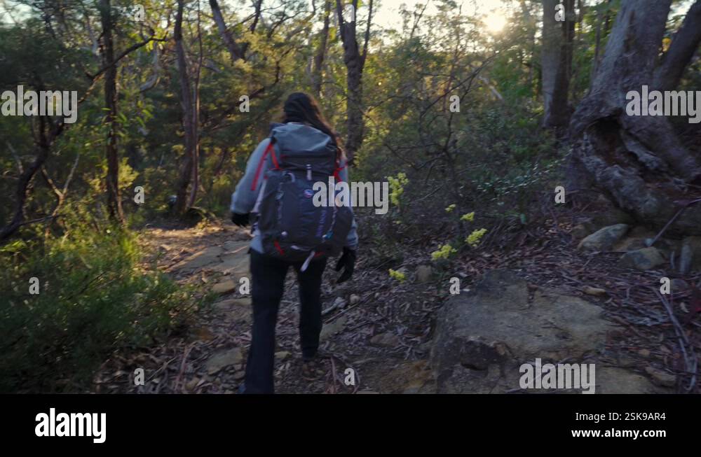 Indigenous Australian girl hiking into the bush in the Blue Mountains ...