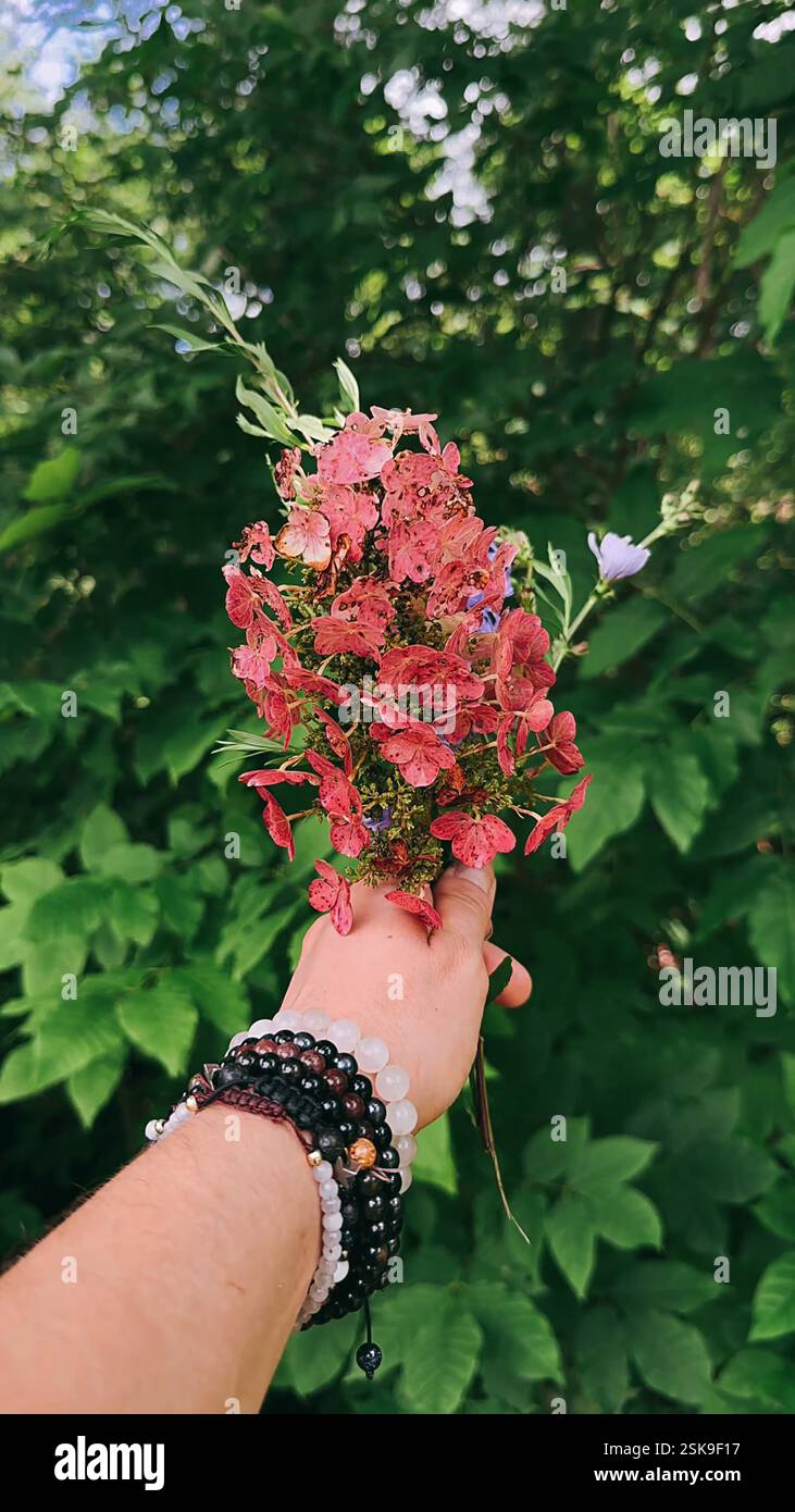 Hand hands flower plant Stock Videos & Footage - HD and 4K Video Clips ...