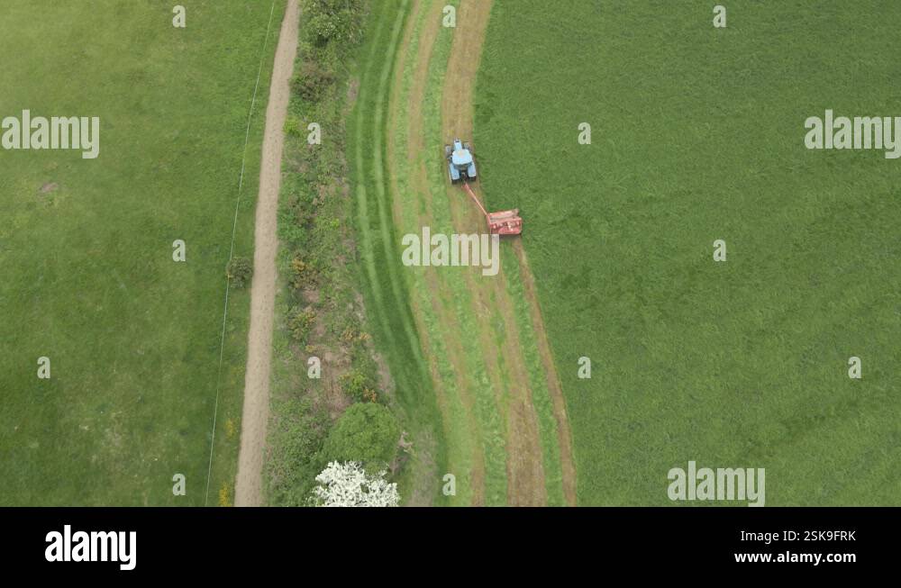Tractor-drawn Forage Harvester Cutting Crops For Animal Food At The ...