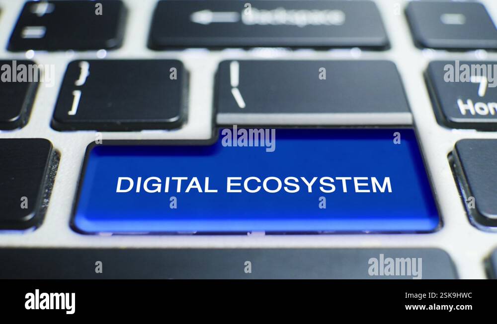 Digital ecosystem Stock Videos & Footage - HD and 4K Video Clips - Alamy