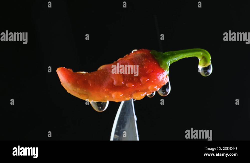 red chili pepper close up zoom with water splashing on a black ...