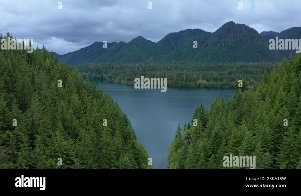 Aerial moving through forest revealing scenic lake in Olympic National ...