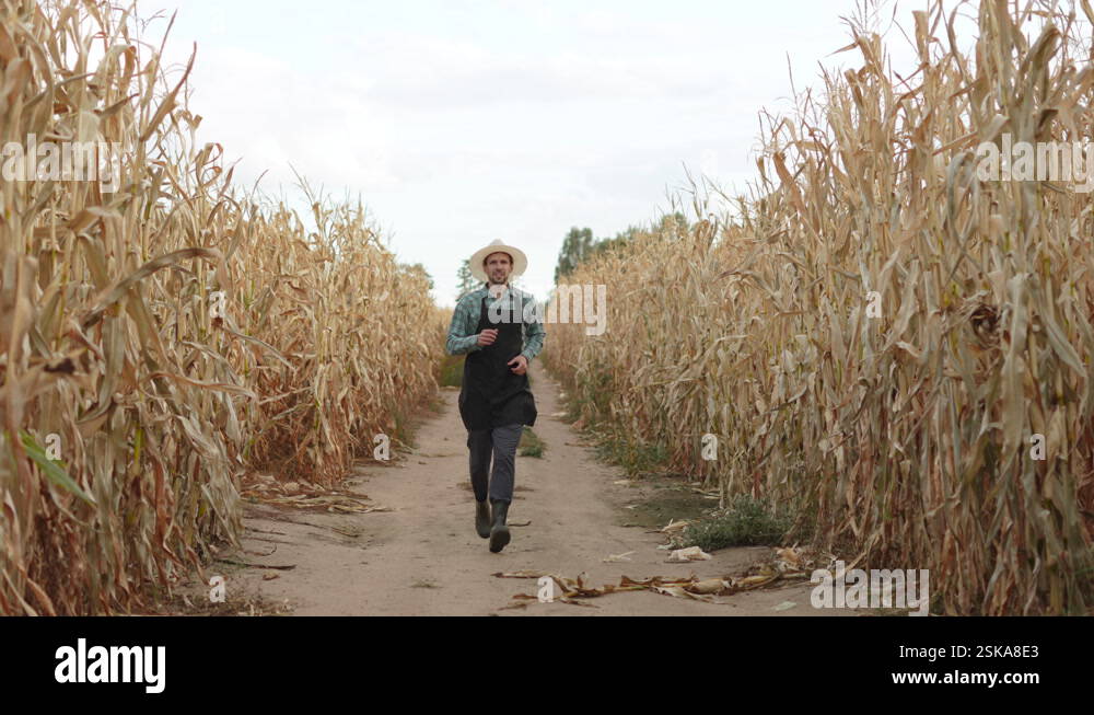 Farmer man in hat and rubber boots runs along sandy path in dry corn ...