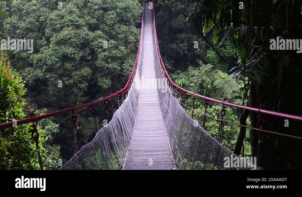 Situ Gunung Suspension Bridge in Sukabumi, West Java, Indonesia Stock ...