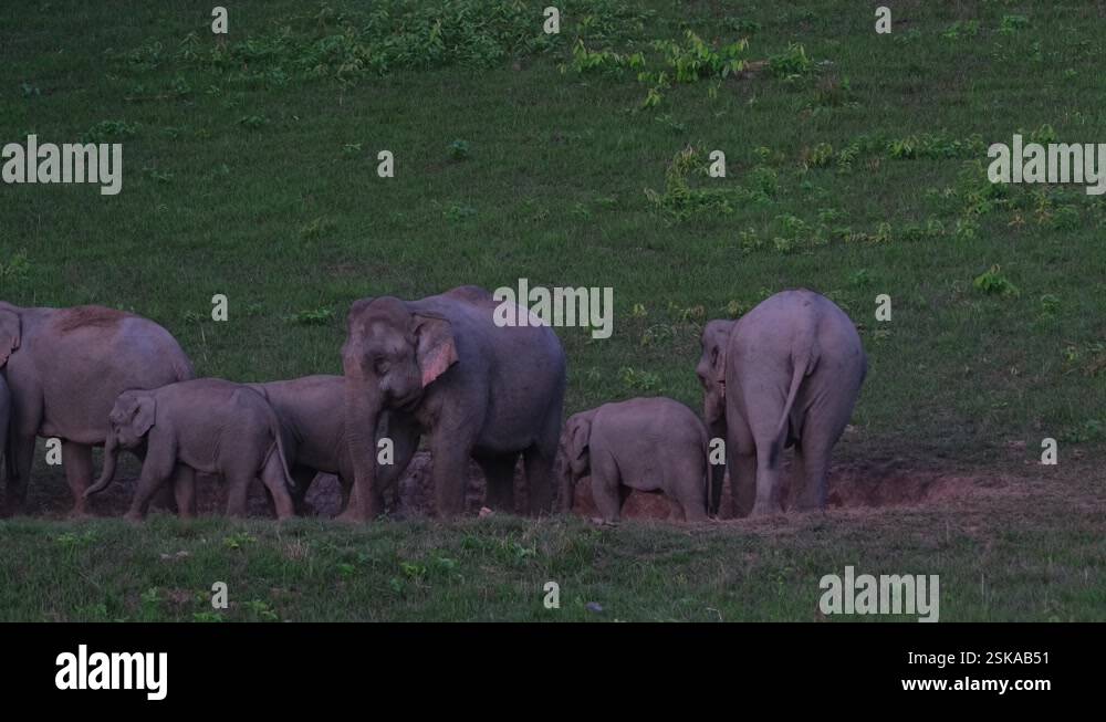 Pushing each other and walking out left side of the frame leaving two ...