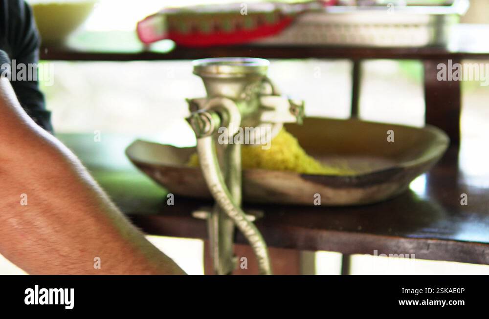 Discover the magic of a traditional corn mill, where golden kernels are ...