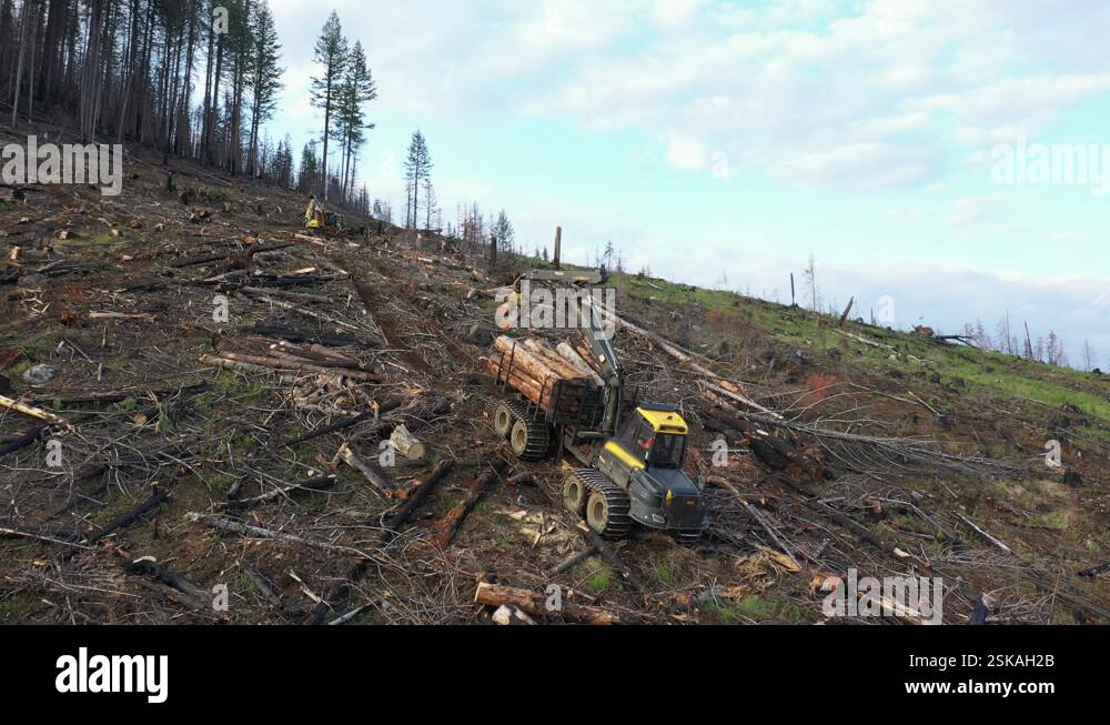 Timber Transport: Drone Footage of Logging on Steep Slope Stock Video ...