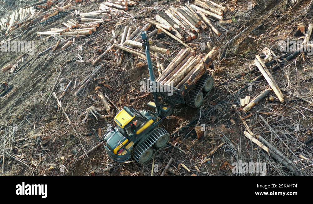 Steep Trail Logging: Drone Captures Forwarder Loading Timber Stock ...