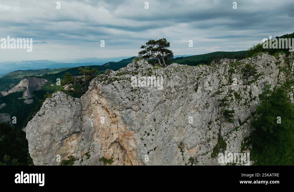 Lone tree on top of rocky ridge of white grey cliff in vietnam, aerial ...