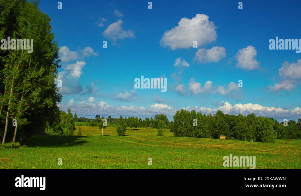 time-lapse effect on sky of a park with green trees Stock Video Footage ...