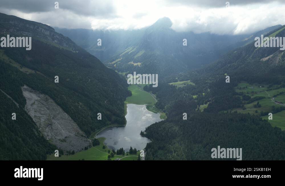 Narrow branch Stock Videos & Footage - HD and 4K Video Clips - Alamy