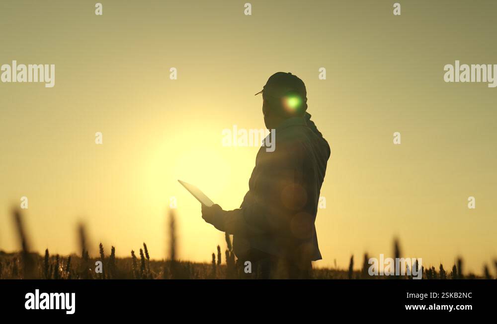 Embracing golden breathtaking sunset, modern farmer harnesses power ...