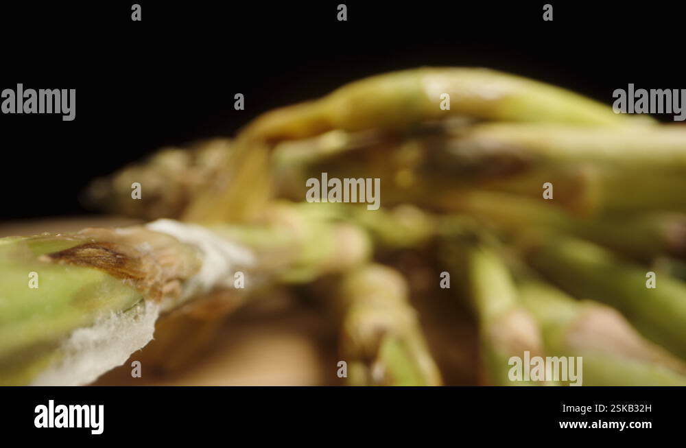 Rotten and spoiled asparagus stalks on a table. Dolly slider extreme ...