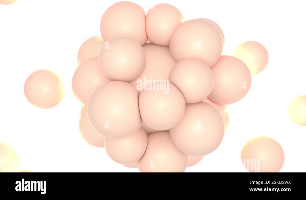Fat cells collide into one pile on a transparent Stock Video Footage ...