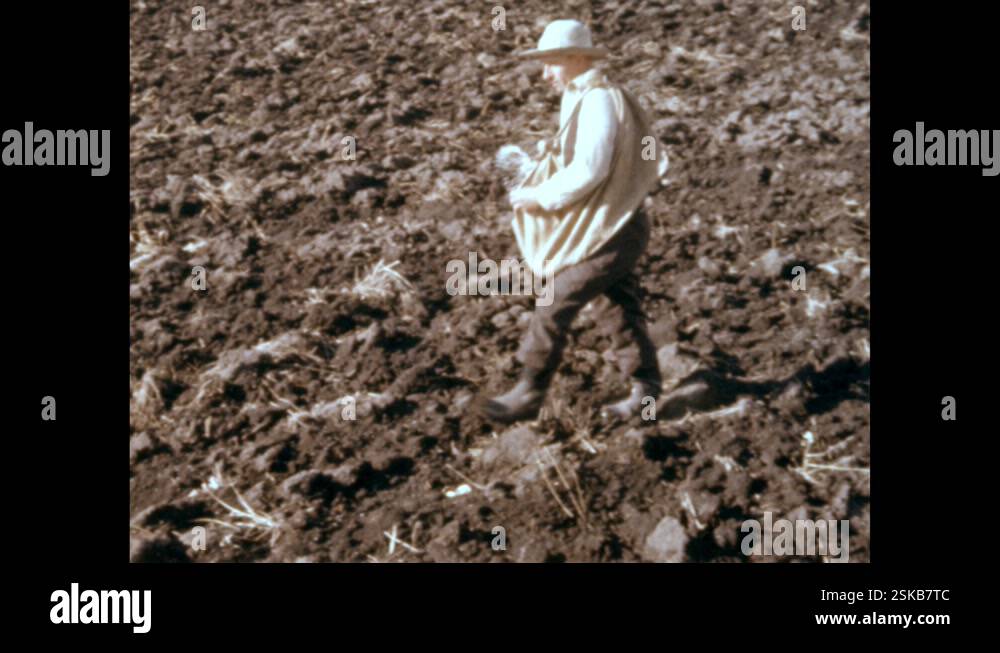 1960s: Pan of man in period costume walking through field, throwing ...