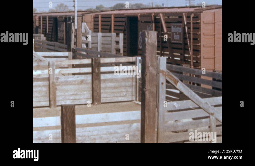 Rail car livestock transportation Stock Videos & Footage - HD and 4K ...