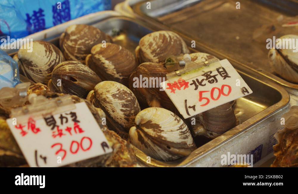 Hard Clam - Shellfish With Price Tag Display On The Fish Market ...