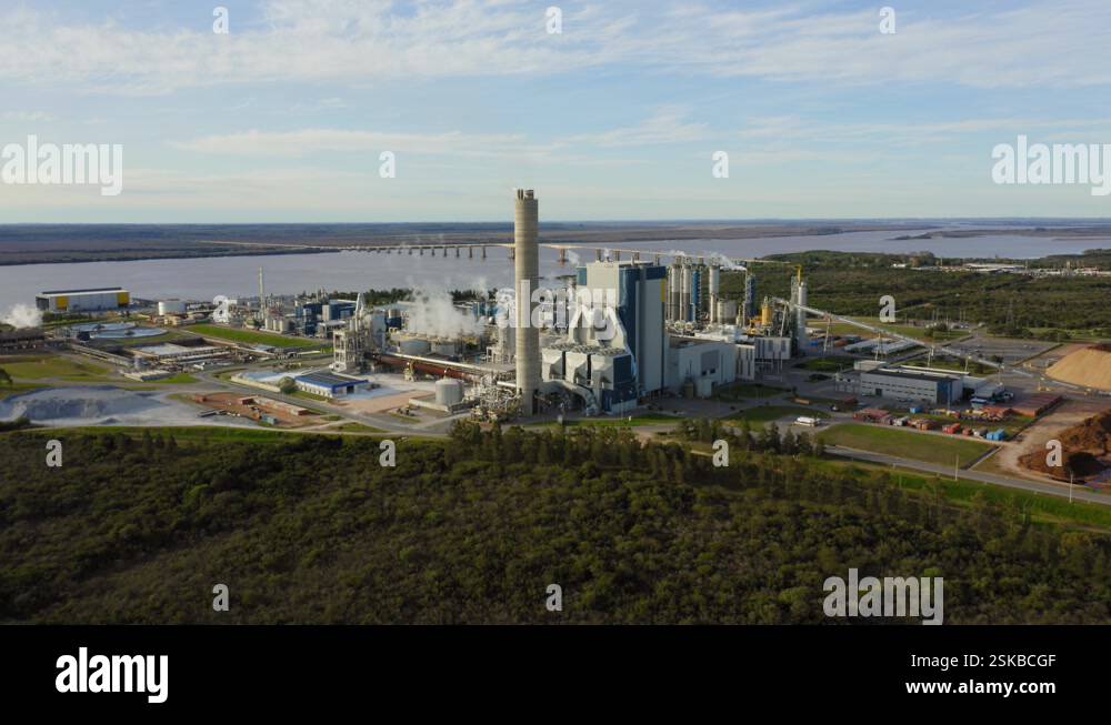 Pulp mill on river bank in South America Uruguay. Factory manufactures ...