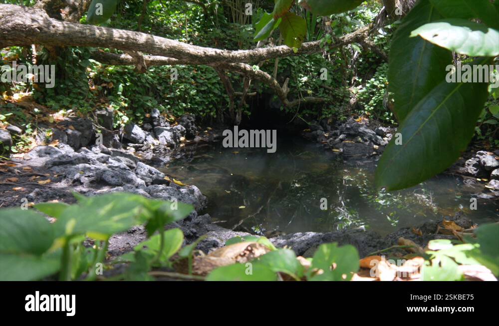 Gliding towards a cave and a jungle pool which is a thermal tidal pool ...