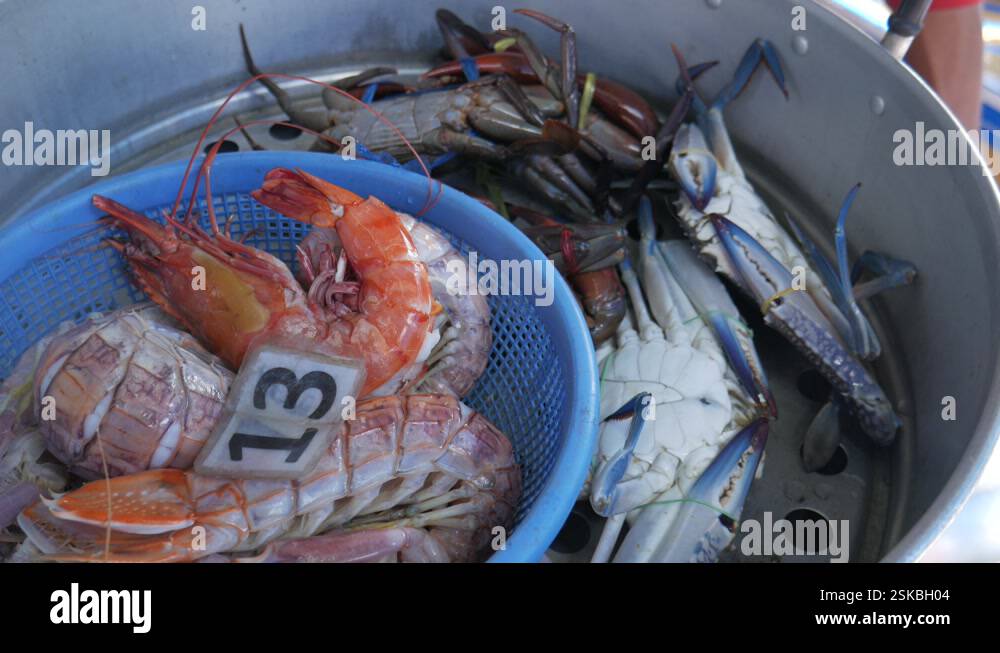 Giant tiger shrimp Stock Videos & Footage - HD and 4K Video Clips - Alamy