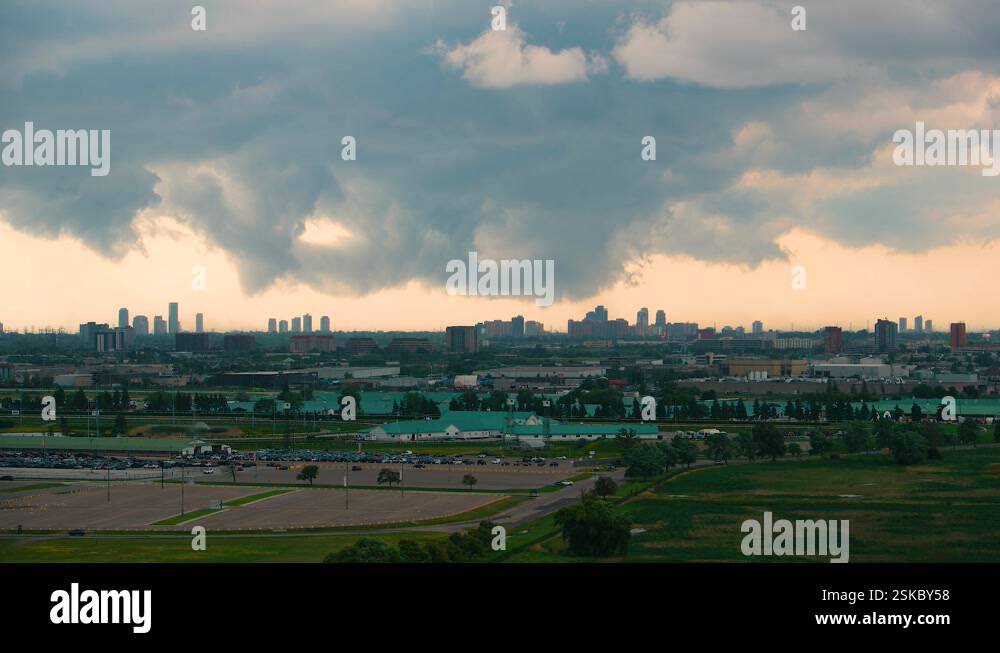 Rare forms Stock Videos & Footage - HD and 4K Video Clips - Alamy