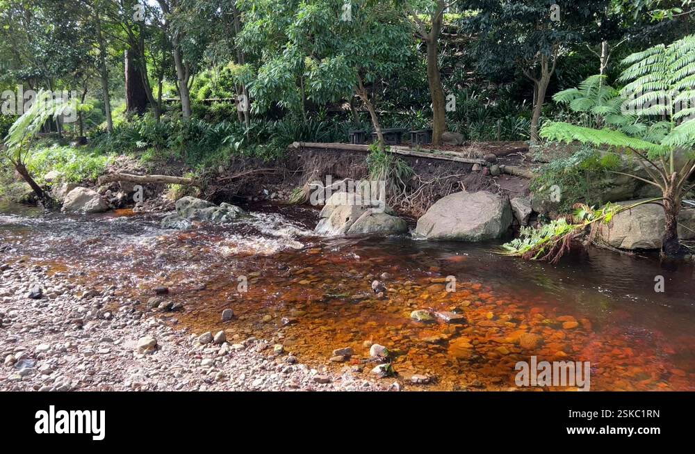 River rocks washed down by a fast flowing river with ferns and shaded ...