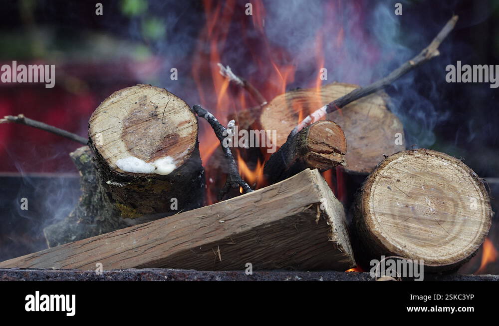 Fire Burning In A Grill With Real Wood. Bright Flames Of Fire Over ...