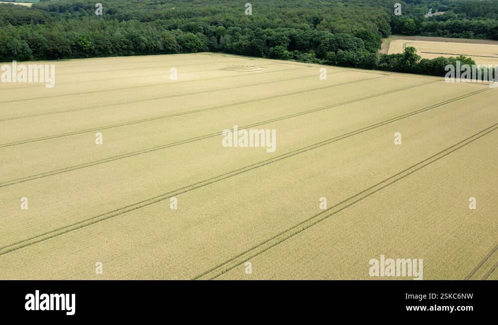 Crop square Stock Videos & Footage - HD and 4K Video Clips - Alamy