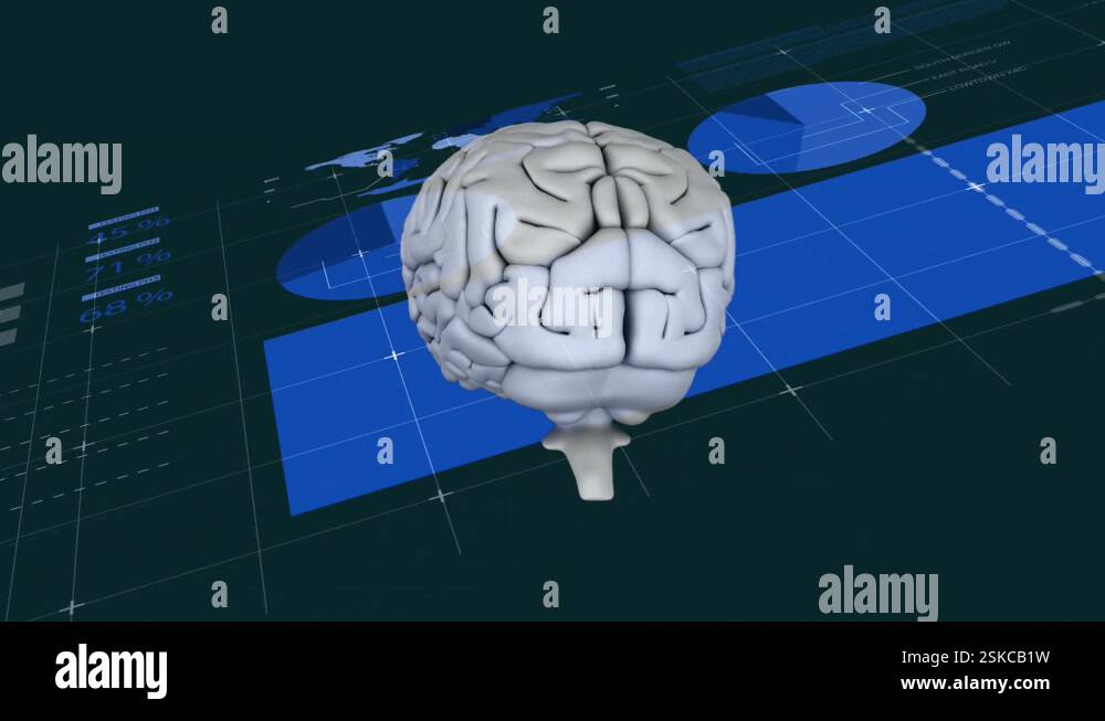 Animation of human brain over infographic interface against black ...
