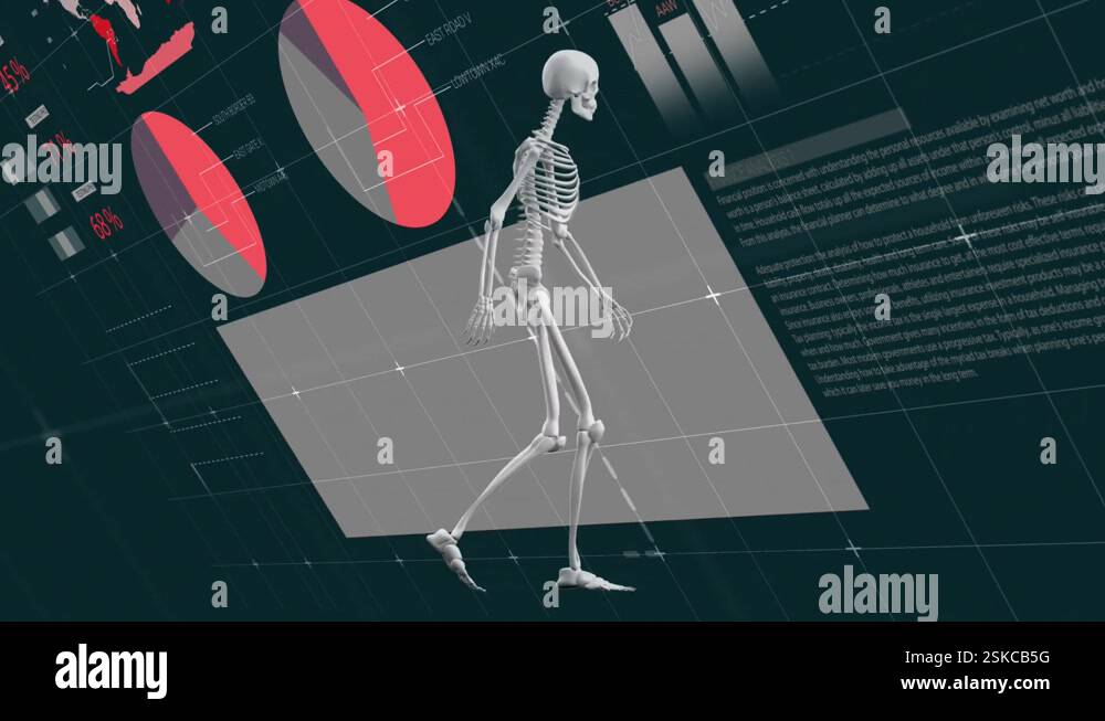 Animation of walking human skeleton over infographic interface against ...