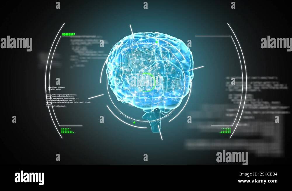 Animation human brain over data Stock Videos & Footage - HD and 4K Video Clips - Alamy